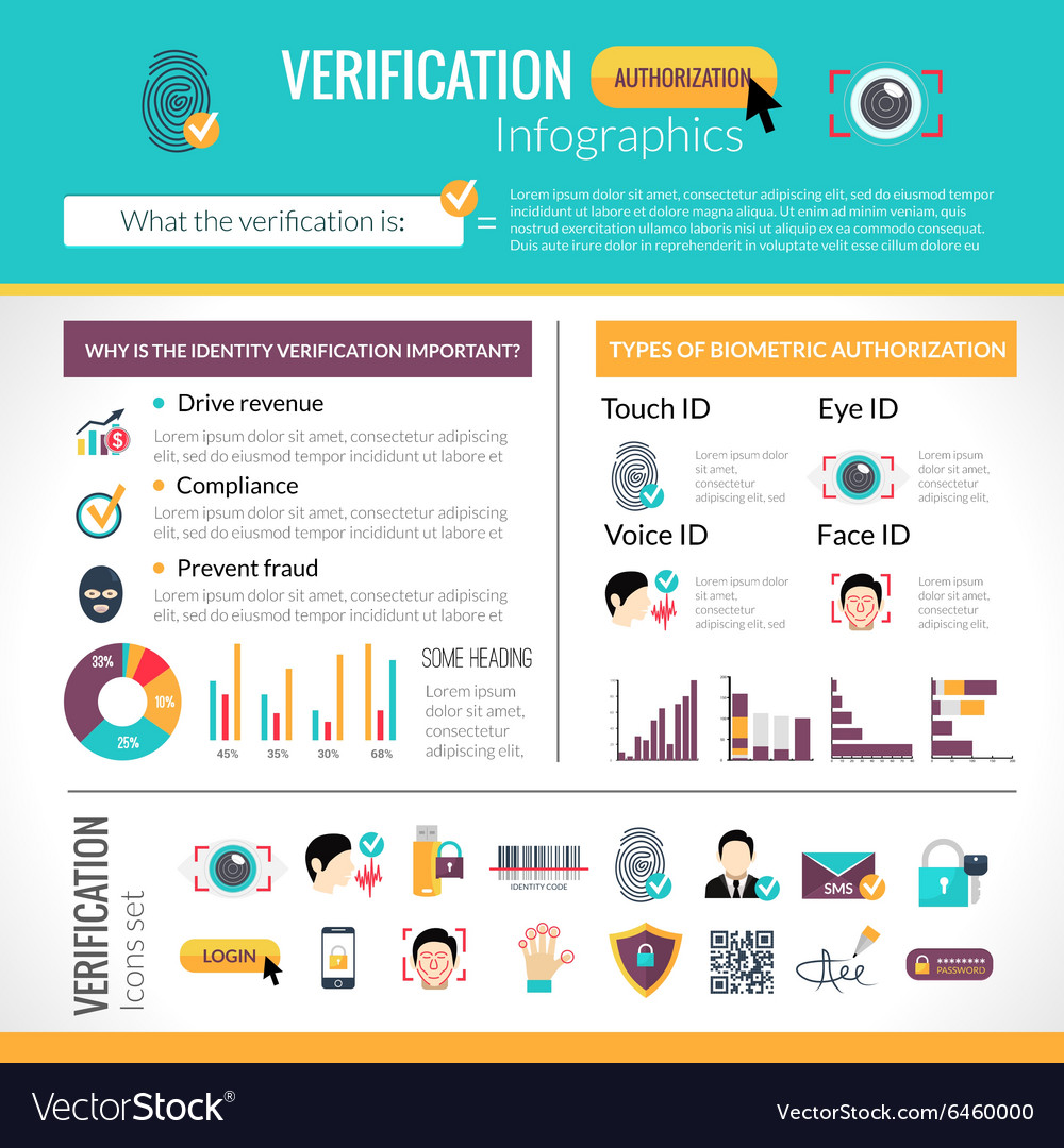 Verification infographics set Royalty Free Vector Image