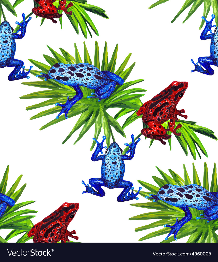 Frog pattern Royalty Free Vector Image - VectorStock