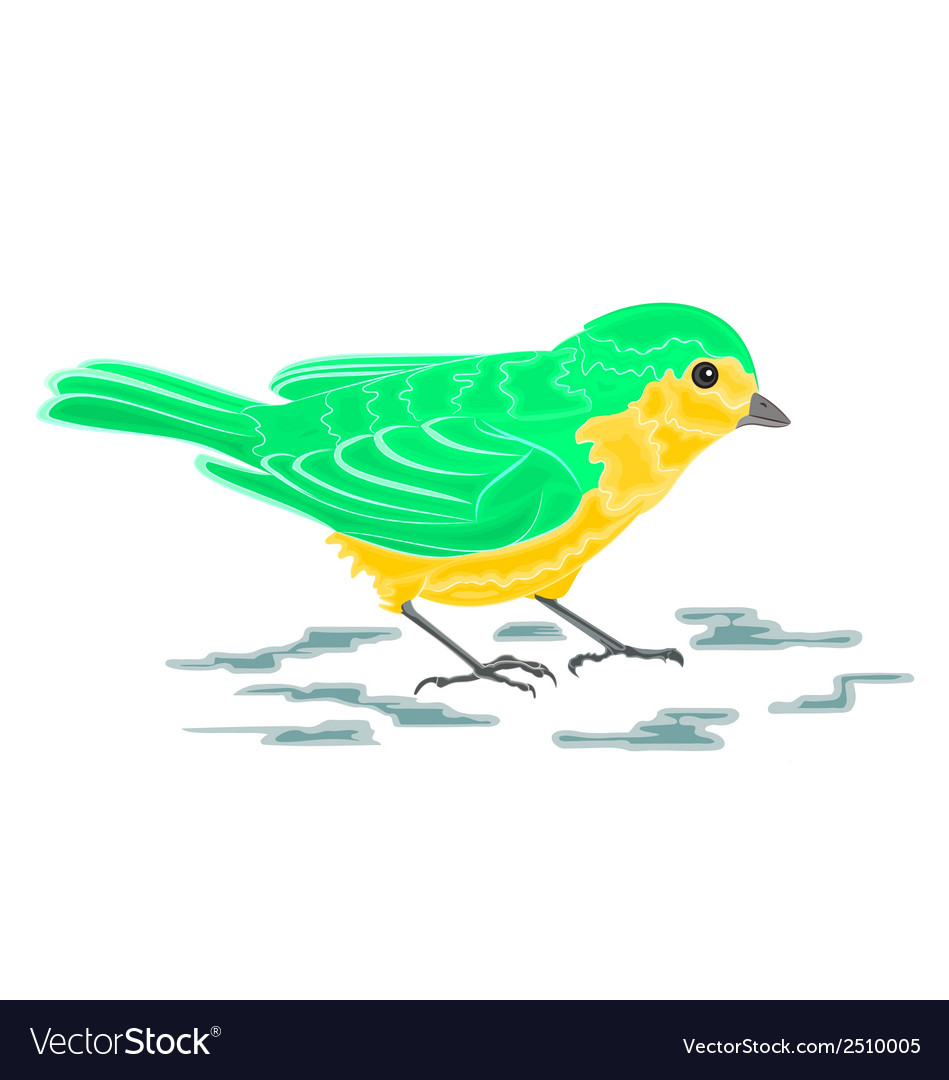 Green bird Royalty Free Vector Image - VectorStock