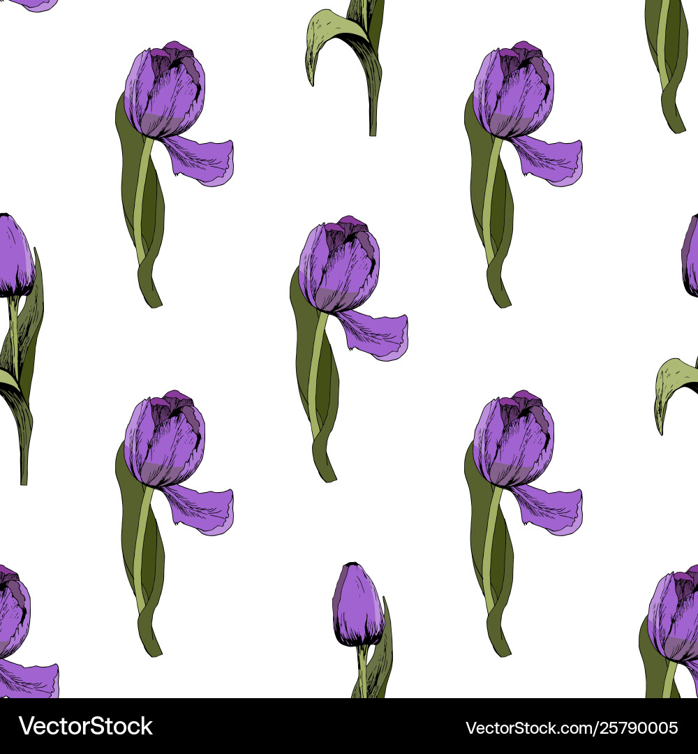 Seamless background with colored purple tulips Vector Image