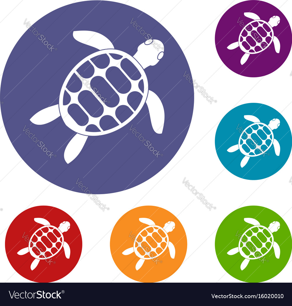 Turtle icons set Royalty Free Vector Image - VectorStock