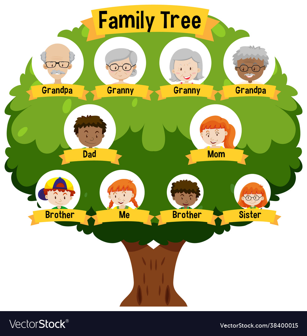 Diagram Showing Three Generation Family Tree Vector Image