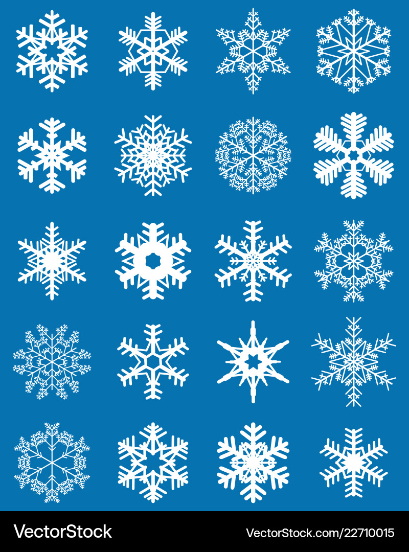 Set of different white snowflakes Royalty Free Vector Image