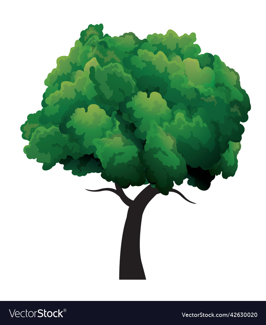 Green spring tree Royalty Free Vector Image - VectorStock