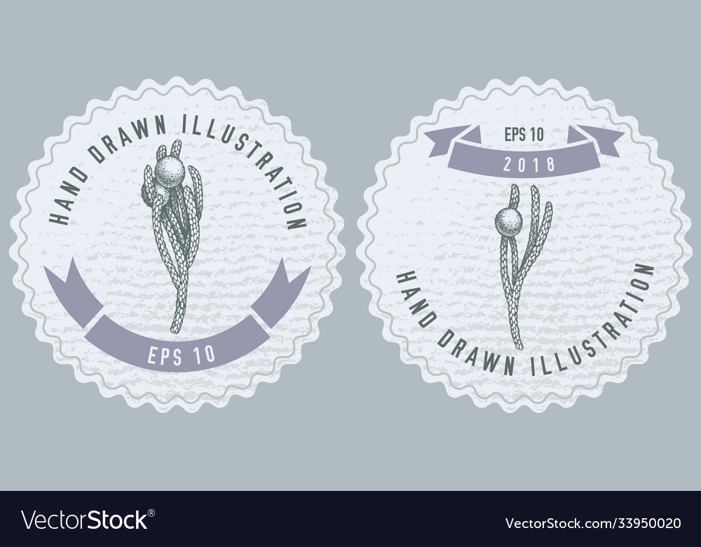 Monochrome Labels Design Royalty Free Vector Image