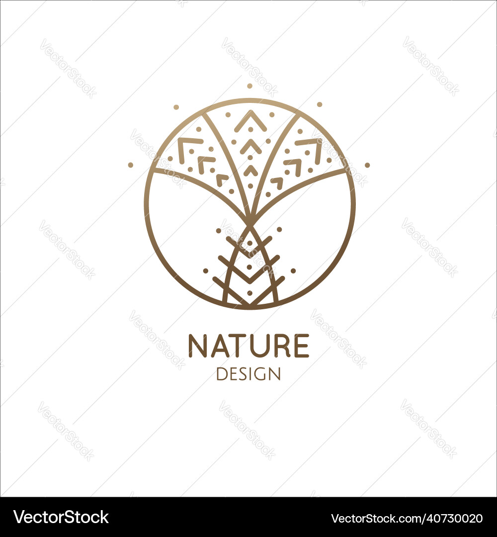Tropical plant logo palm tree with leafs Vector Image