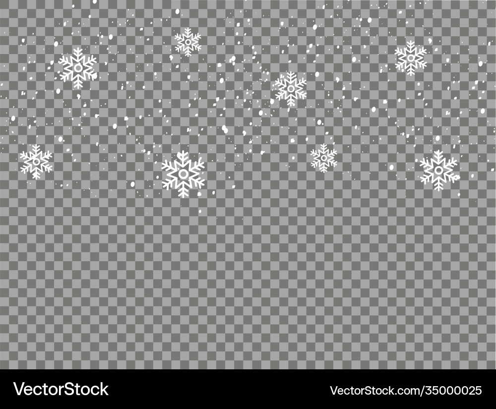 Realistic falling snow or snowflakes isolated Vector Image