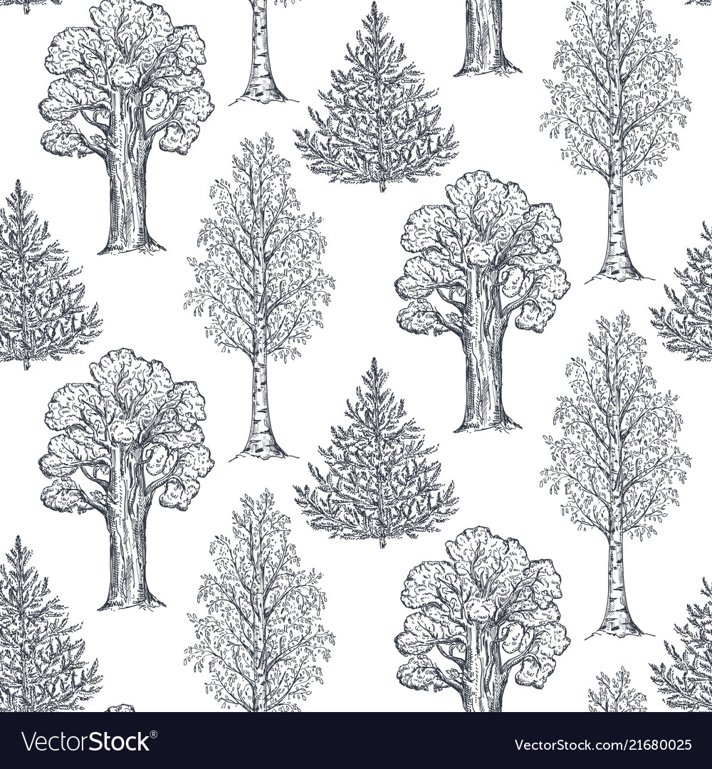 Seamless pattern with hand drawn trees in Vector Image