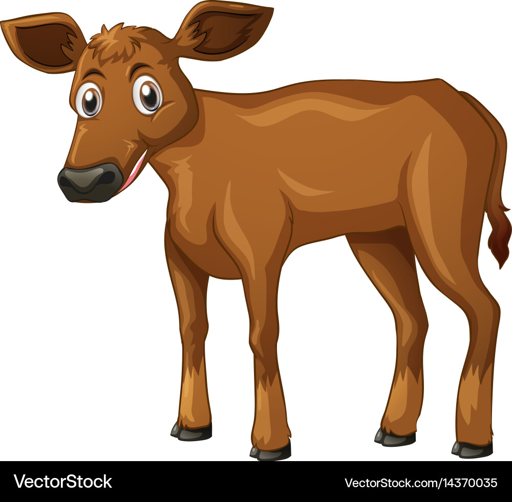 Cow cub with brown fur Royalty Free Vector Image