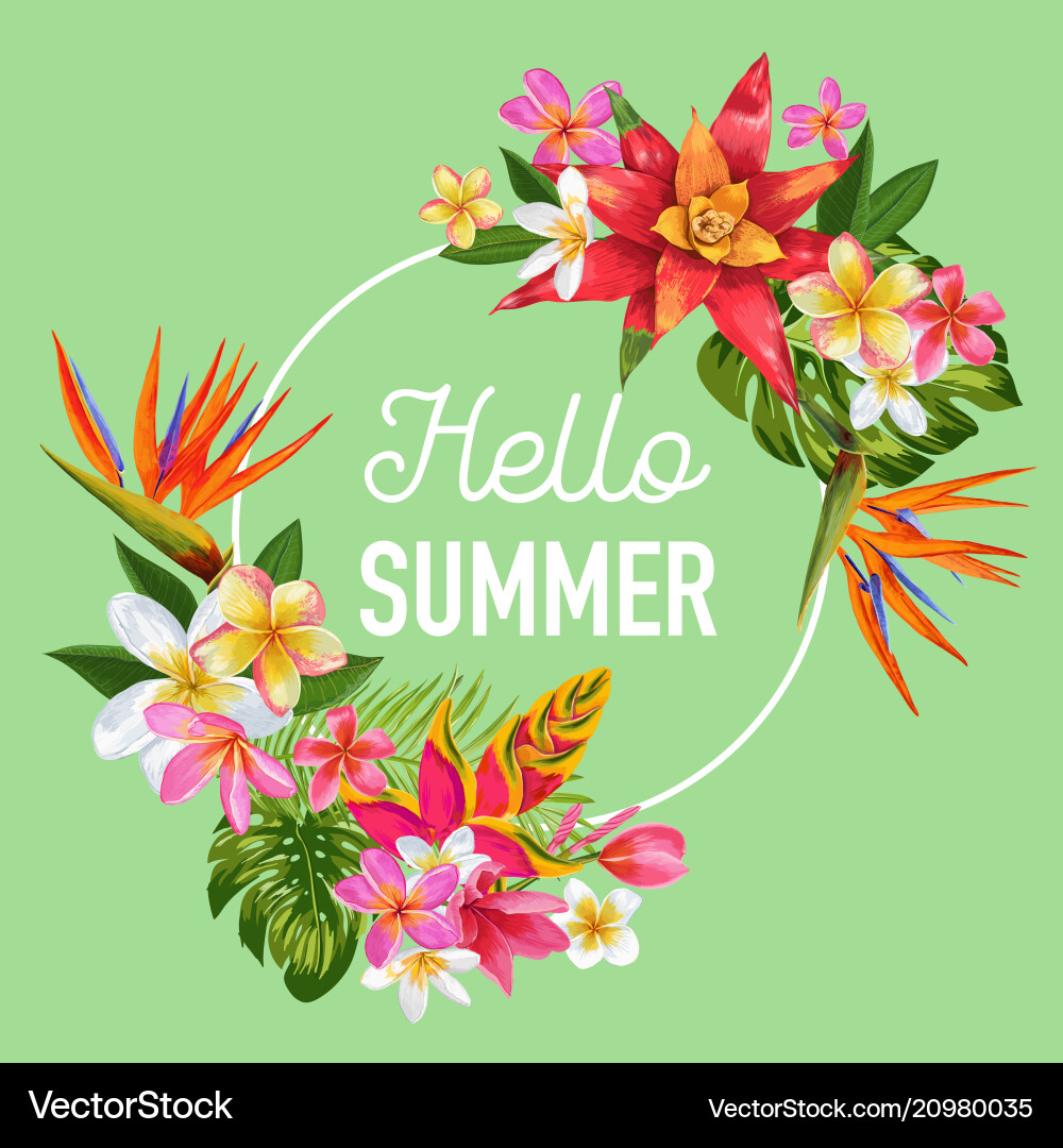 Hello summer design tropical hibiscus flowers Vector Image