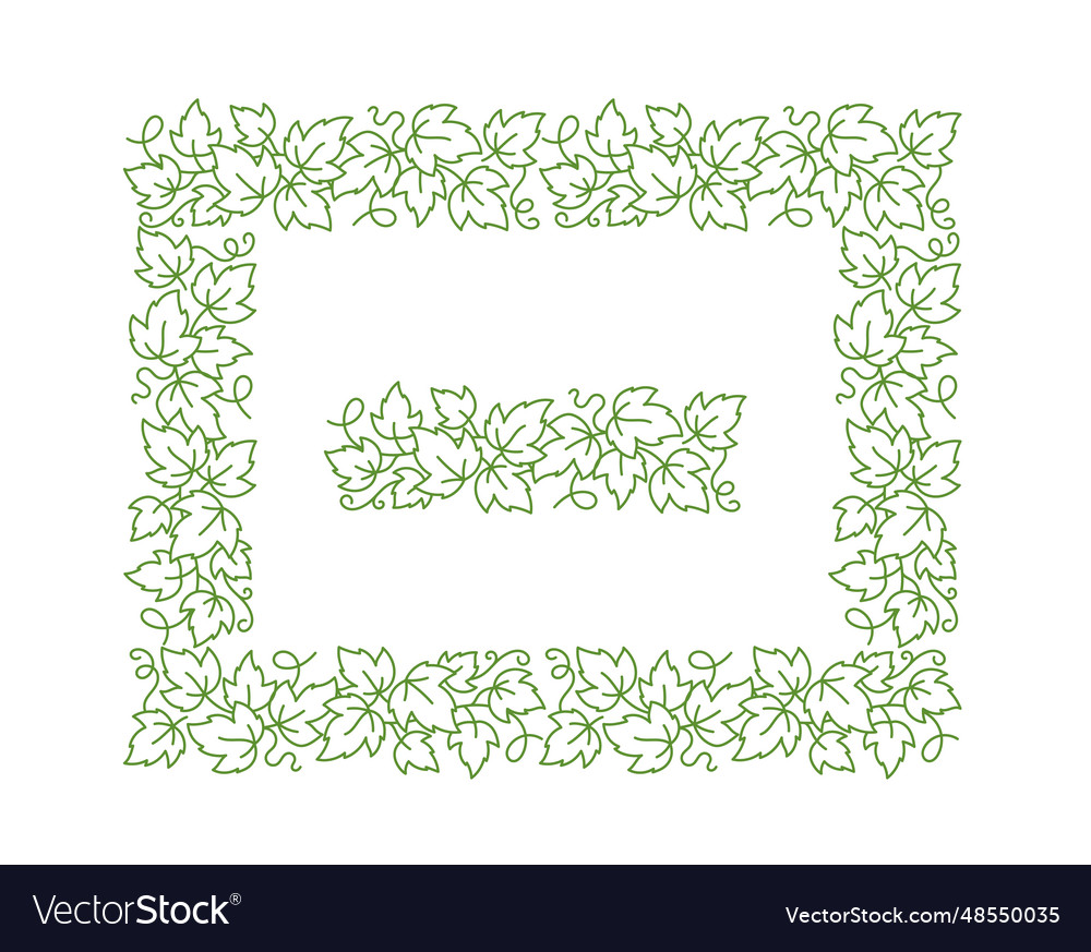 Vine rectangular frame grape leaves editable Vector Image