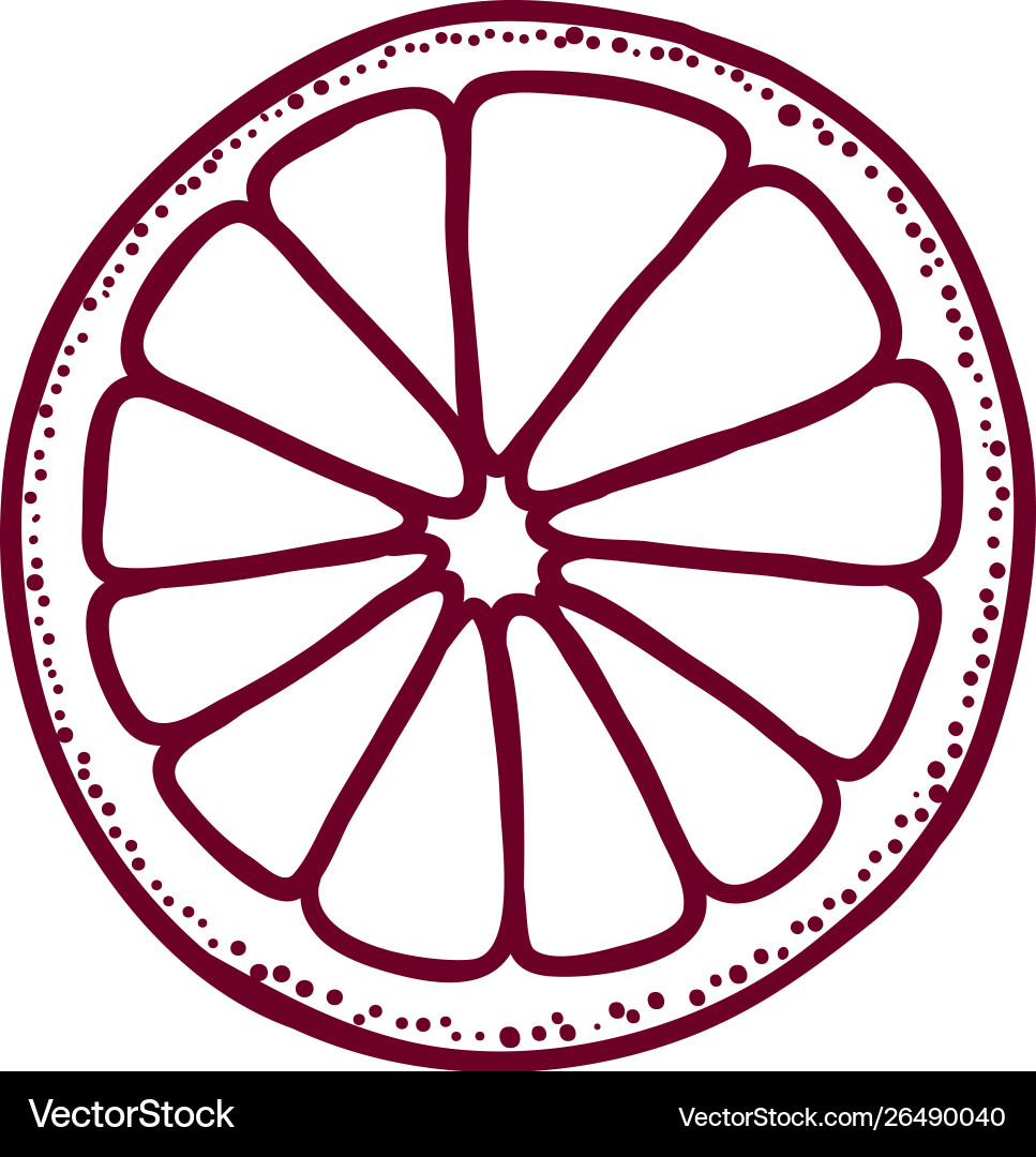 Citrus fruit slice hand drawn color outline Vector Image
