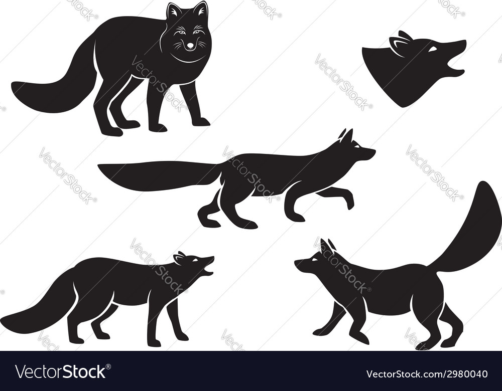 Fox Royalty Free Vector Image - VectorStock