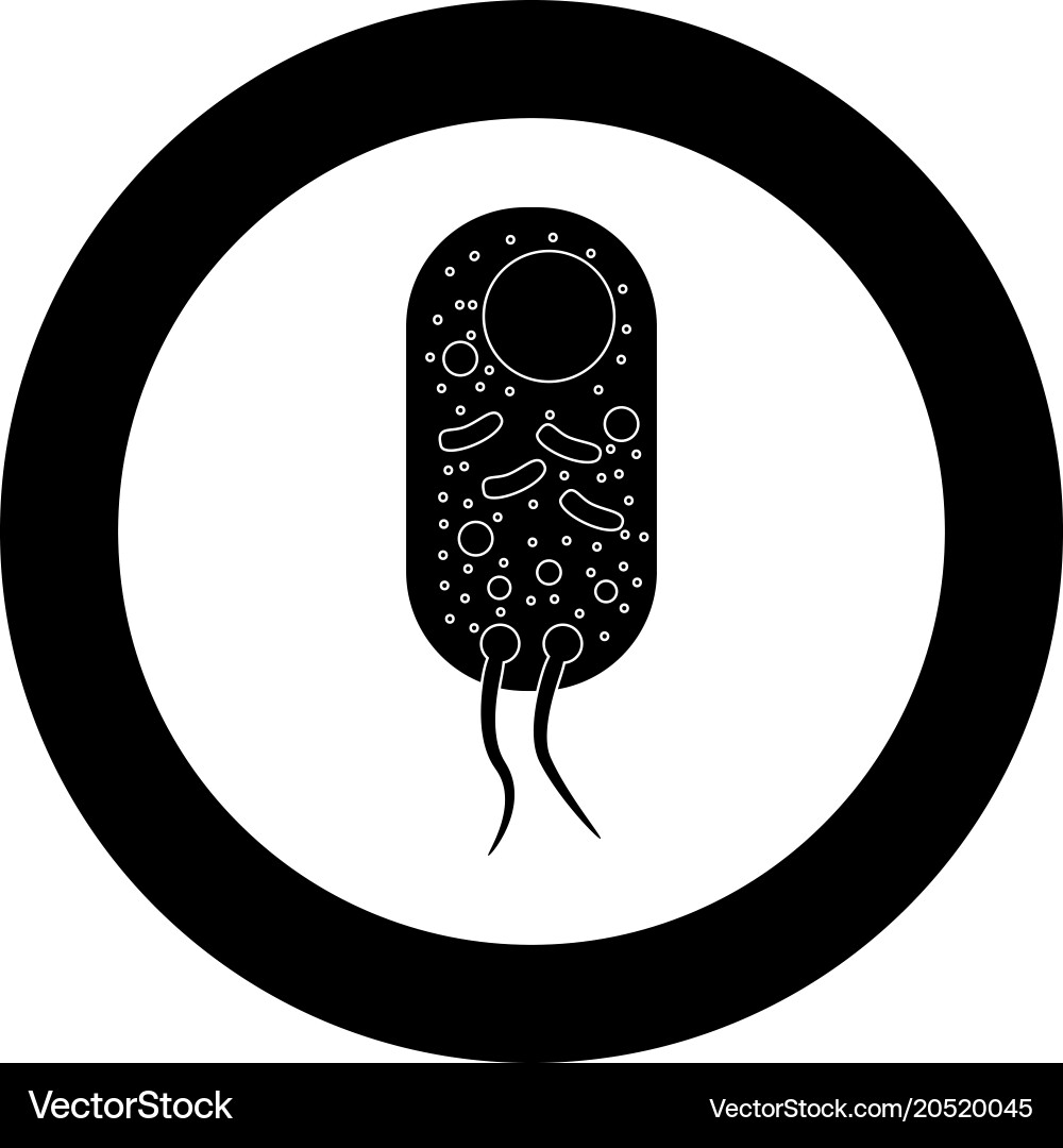 Bacteria icon black color in circle Royalty Free Vector