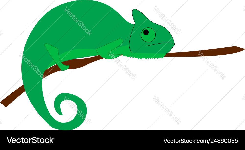 A big green color lizard with ability to change Vector Image