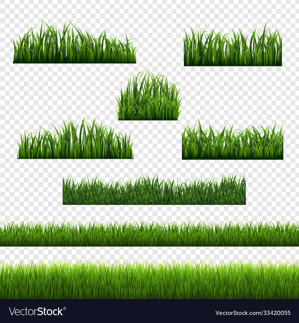 Green grass frames transparent background Vector Image