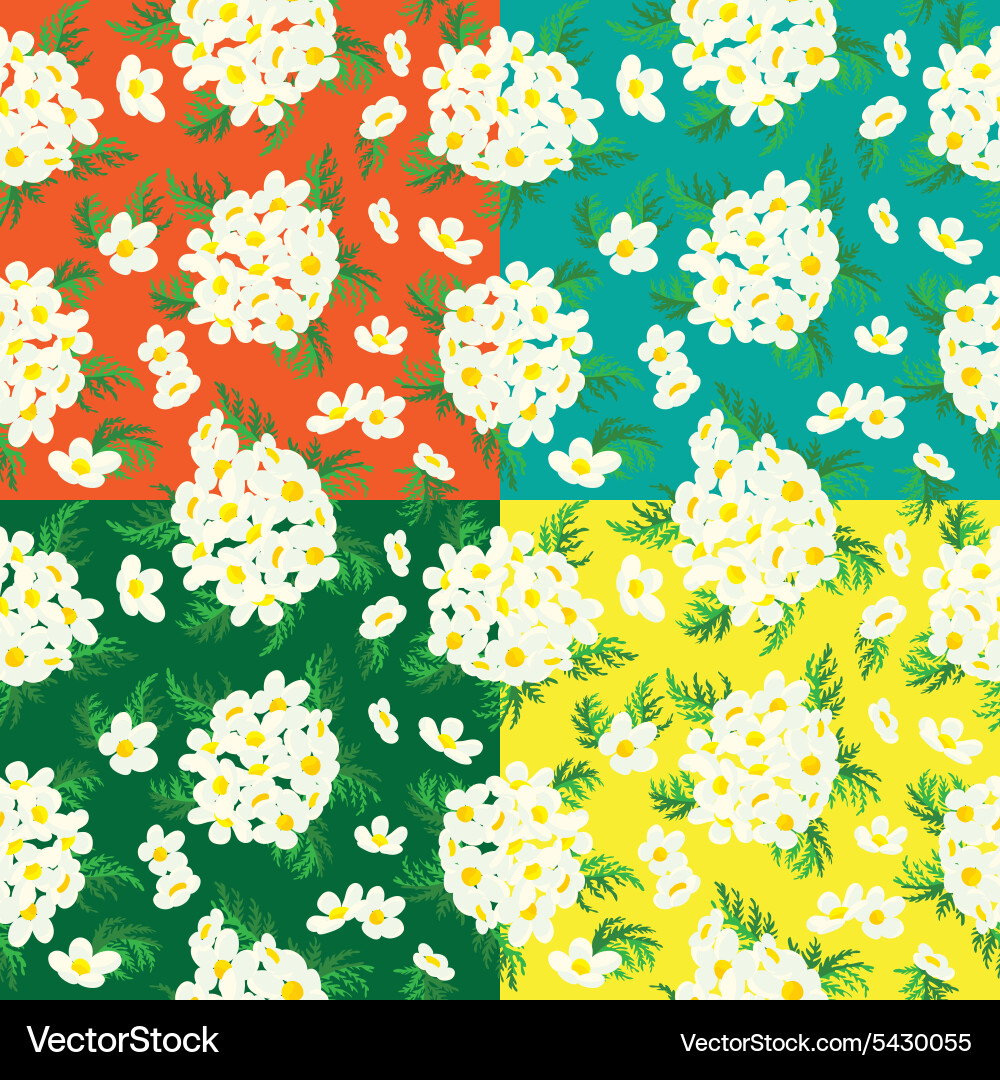 Seamless floral pattern of camomile Royalty Free Vector