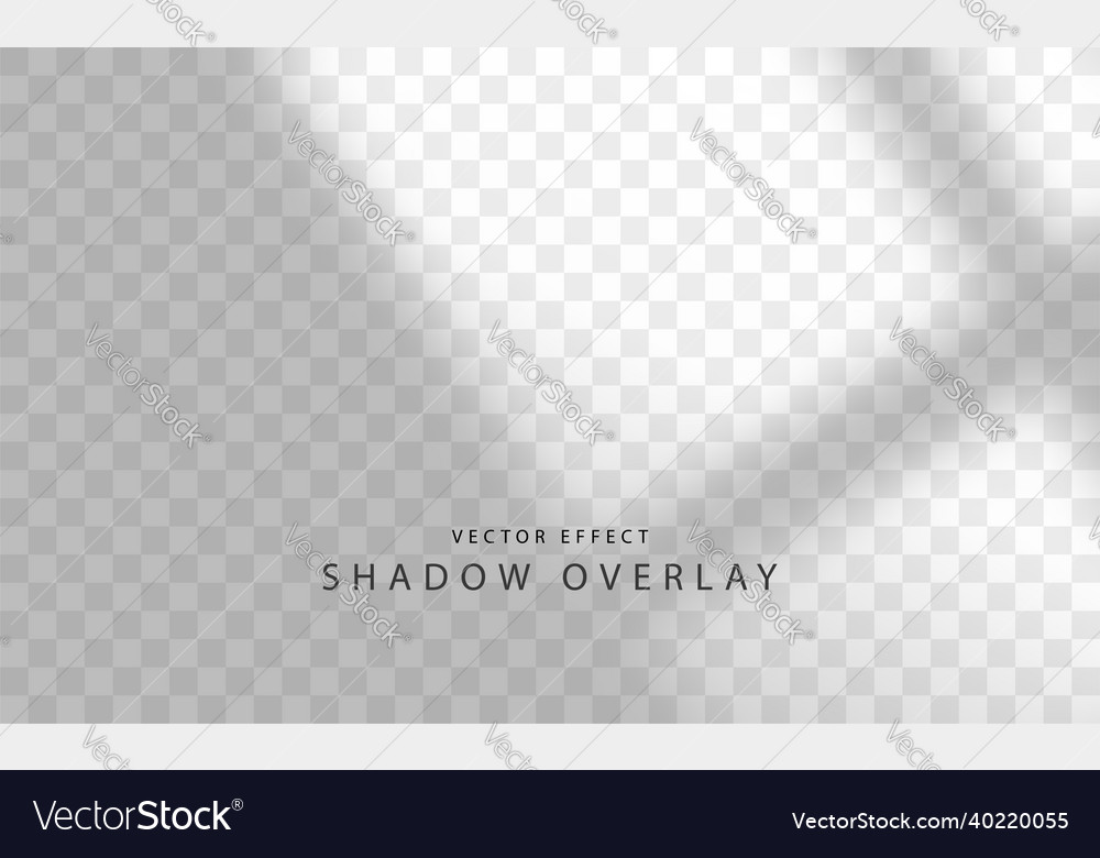 Shadow overlay effect Royalty Free Vector Image
