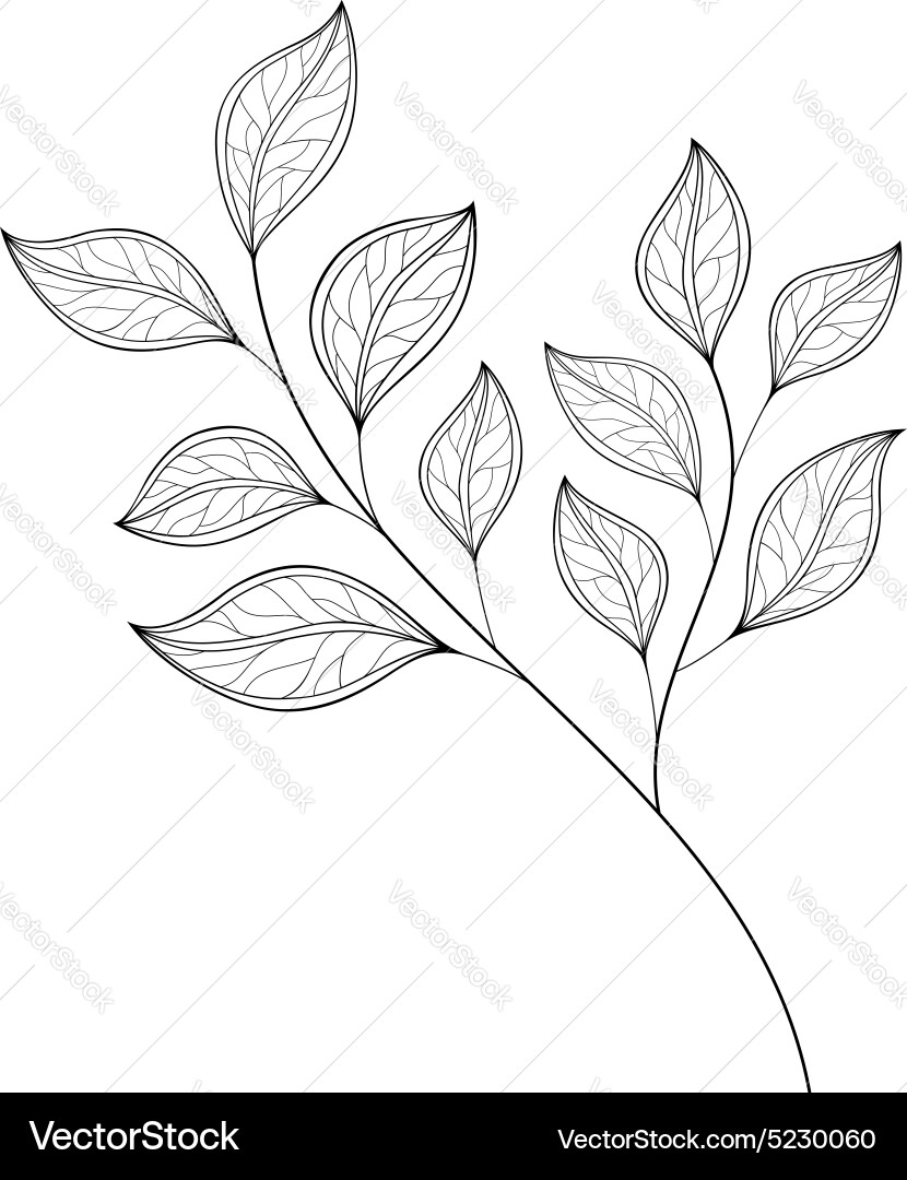 Beautiful Monochrome Contour Leaf Royalty Free Vector Image