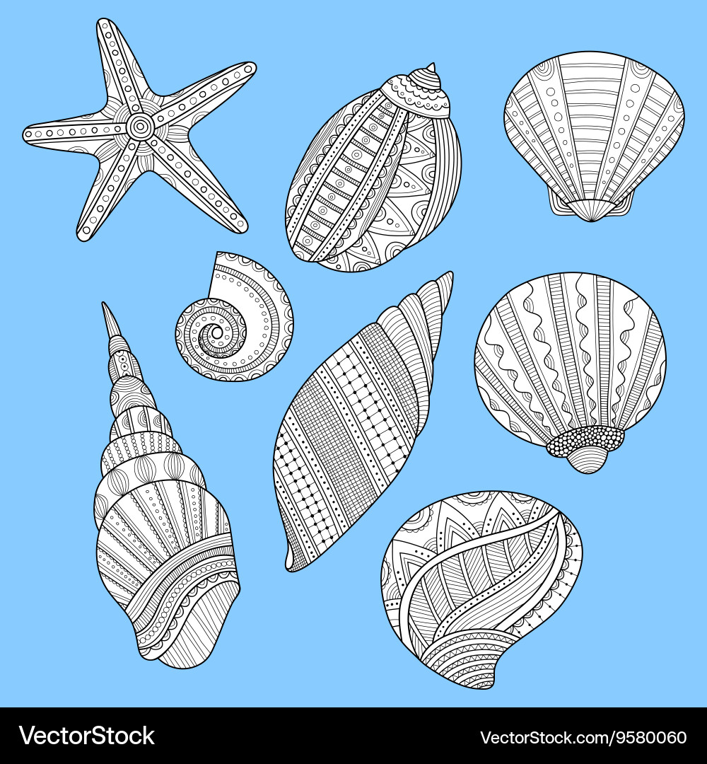 Black white sea shells for coloring book on blue Vector Image