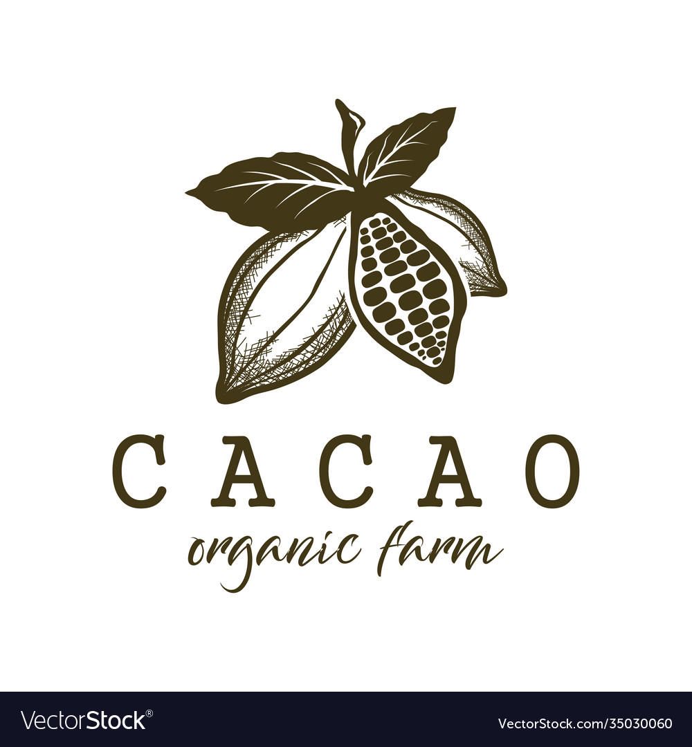 Cacao fruit organic farm logo label design Vector Image Cacao fruit organic farm logo label design Vector Image