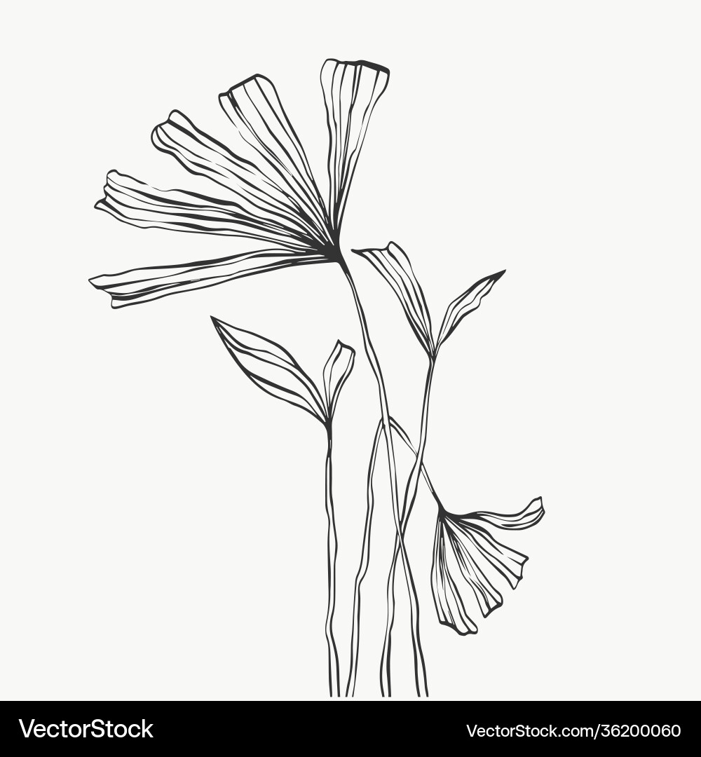 Leaves and tropical line foliage isolated Vector Image