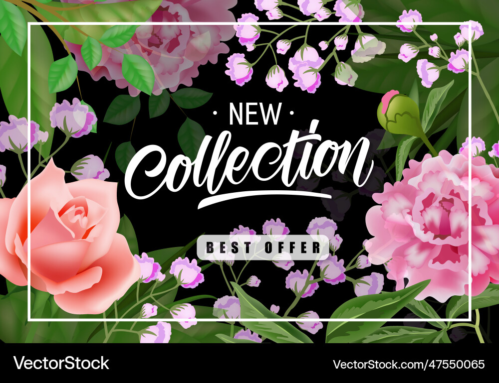 New collection best offer lettering in frame Vector Image