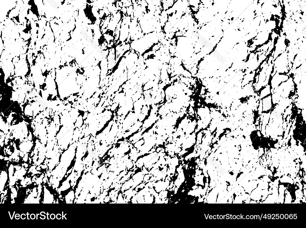 Rustic grunge texture with grain and stains Vector Image