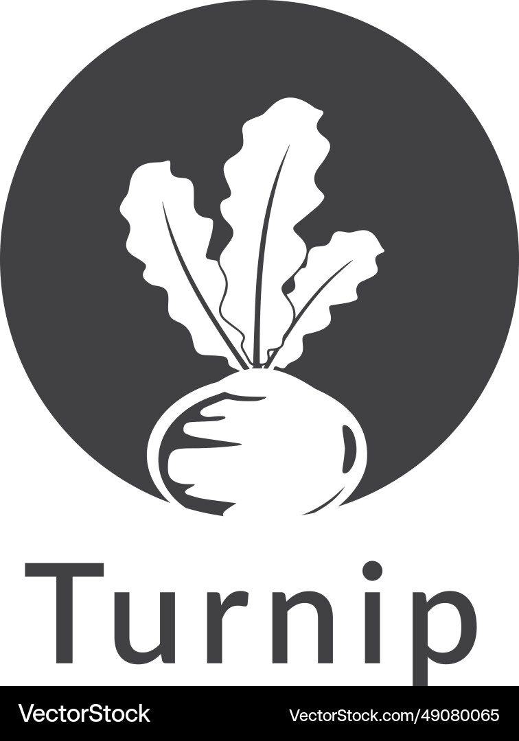 Turnip vegetables logo Royalty Free Vector Image