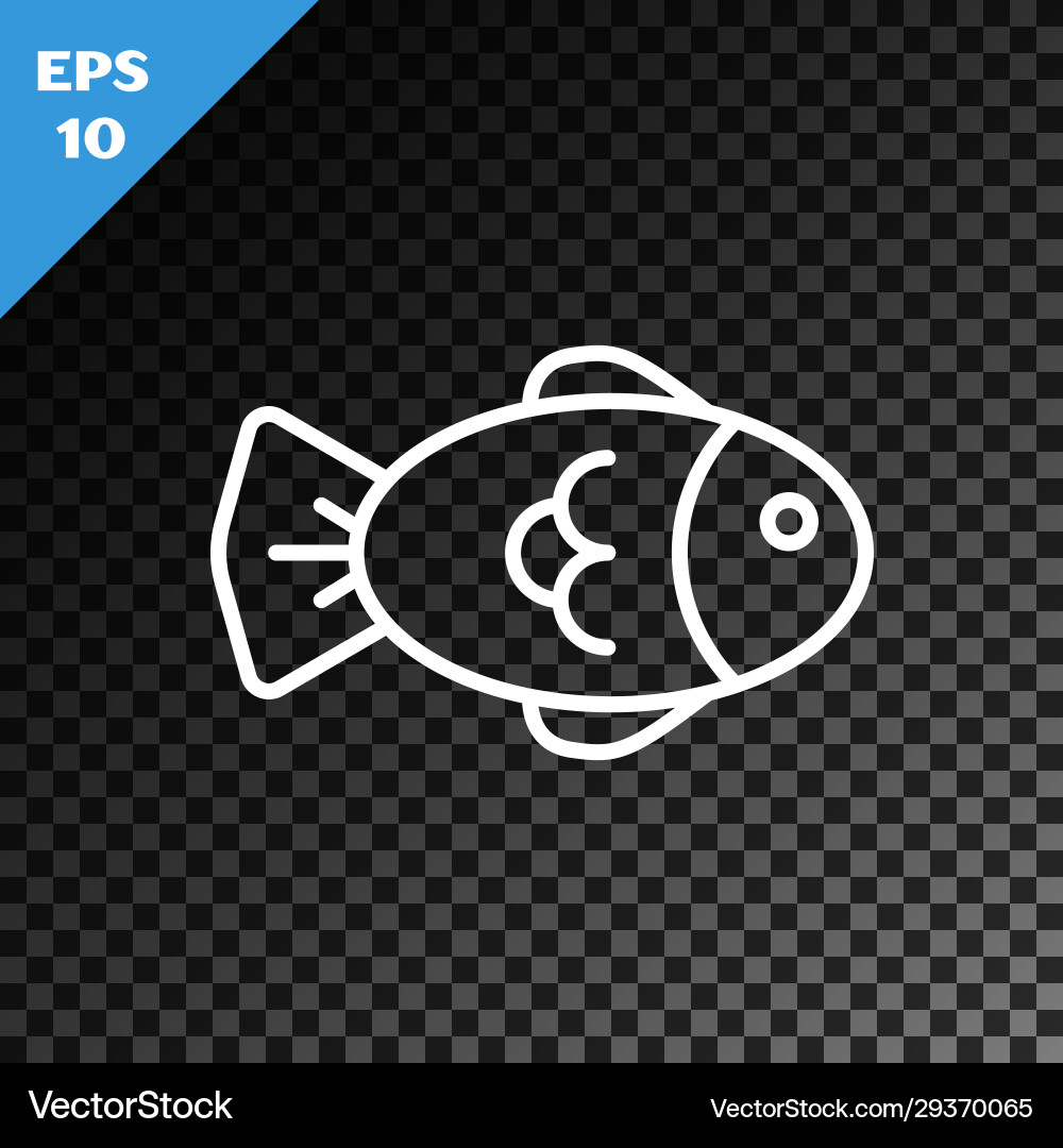 White line fish icon isolated on transparent dark Vector Image