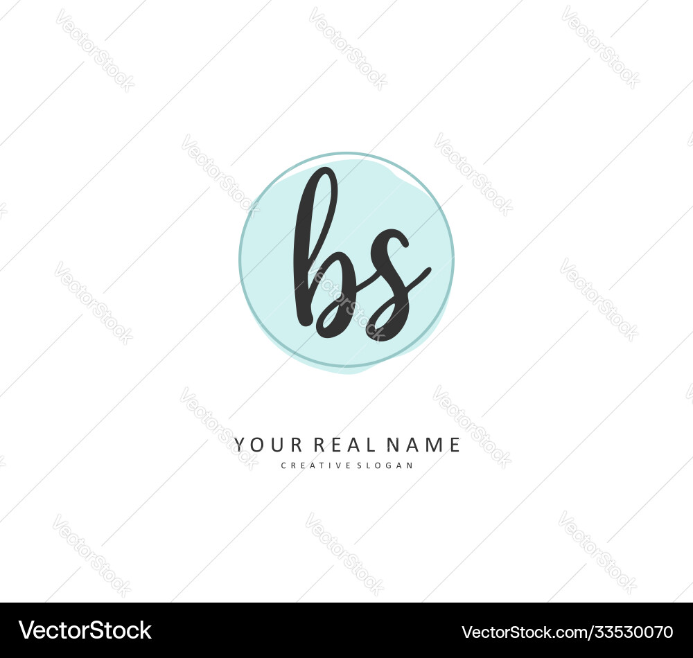 B s bs initial letter handwriting and signature Vector Image