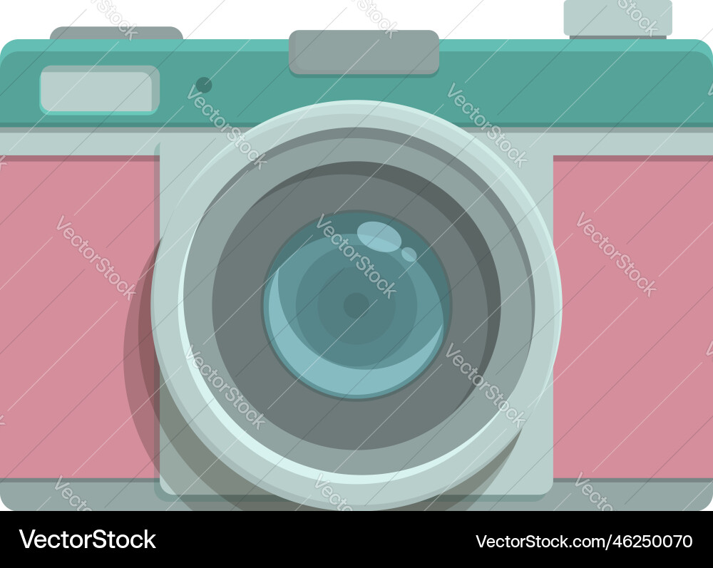 Camera capture icon cartoon digital photo Vector Image