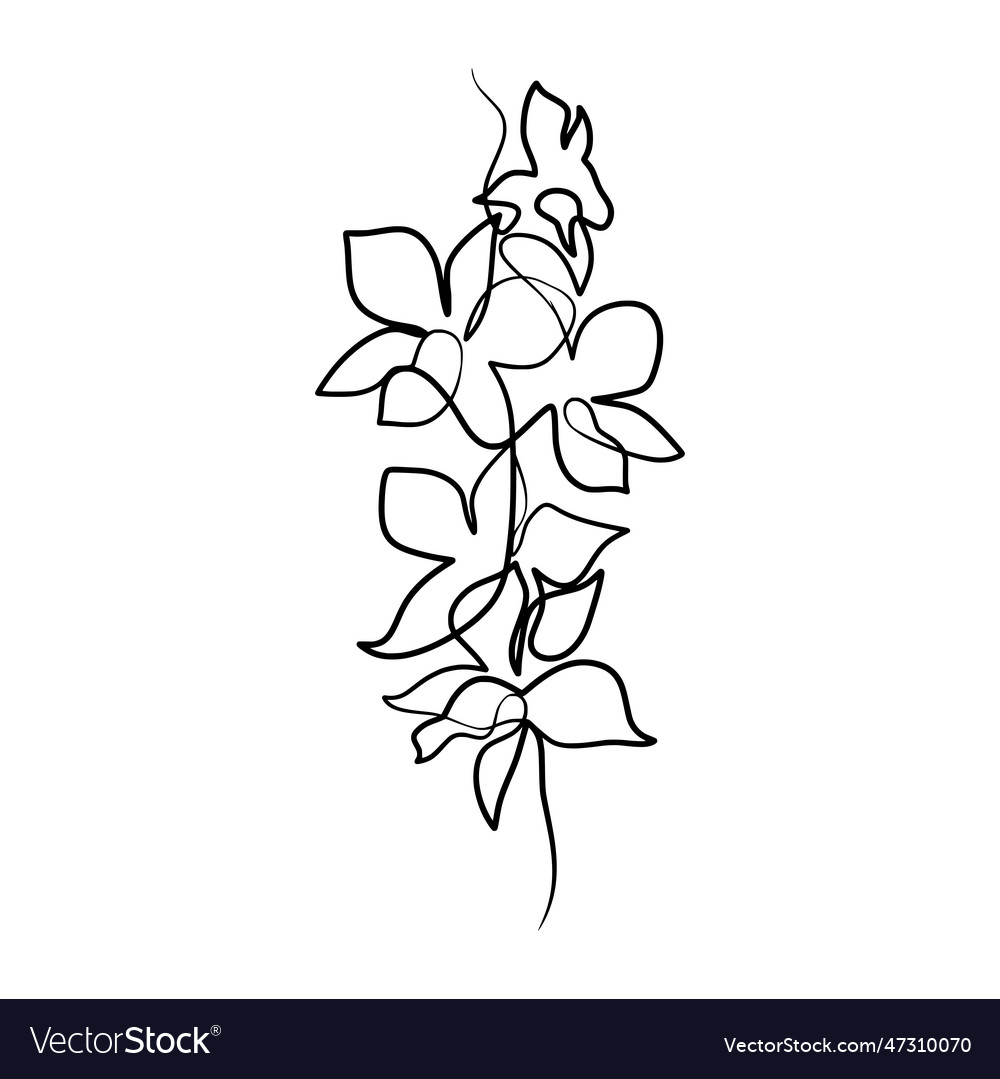 Continuous One Line Art Drawing Of Beauty Orchid Vector Image