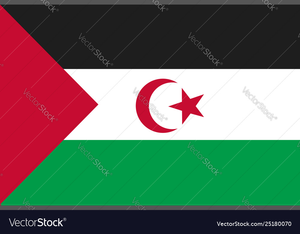 Flag rectangular shape Royalty Free Vector Image