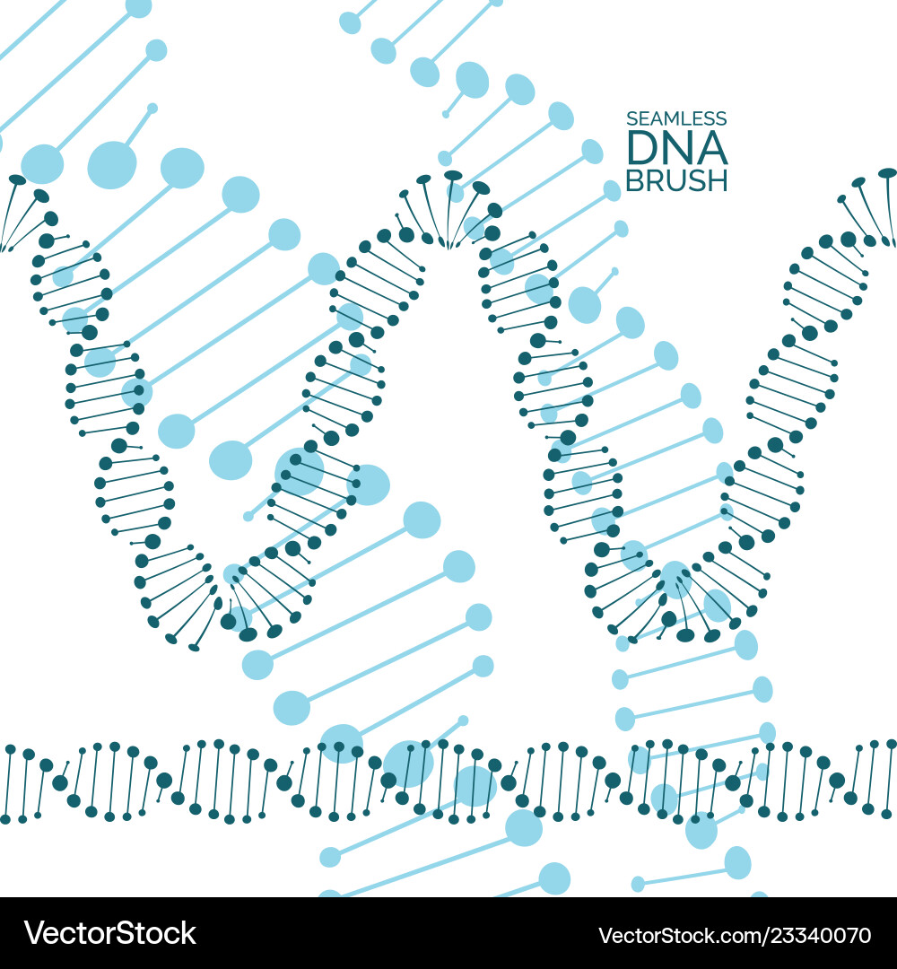 Human dna chain or genome helix molecule seamless Vector Image