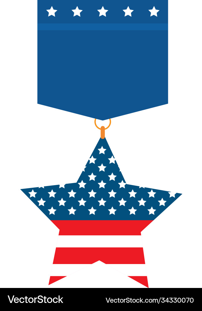 Usa star medal design Royalty Free Vector Image