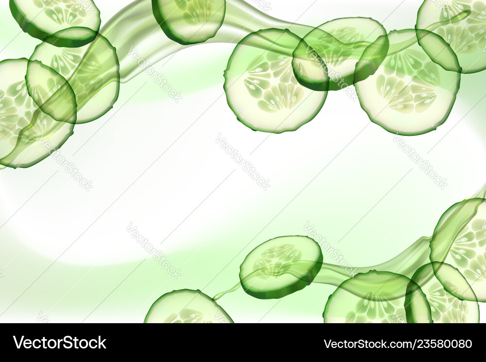 Beautiful horizontal green realistic cucumber Vector Image