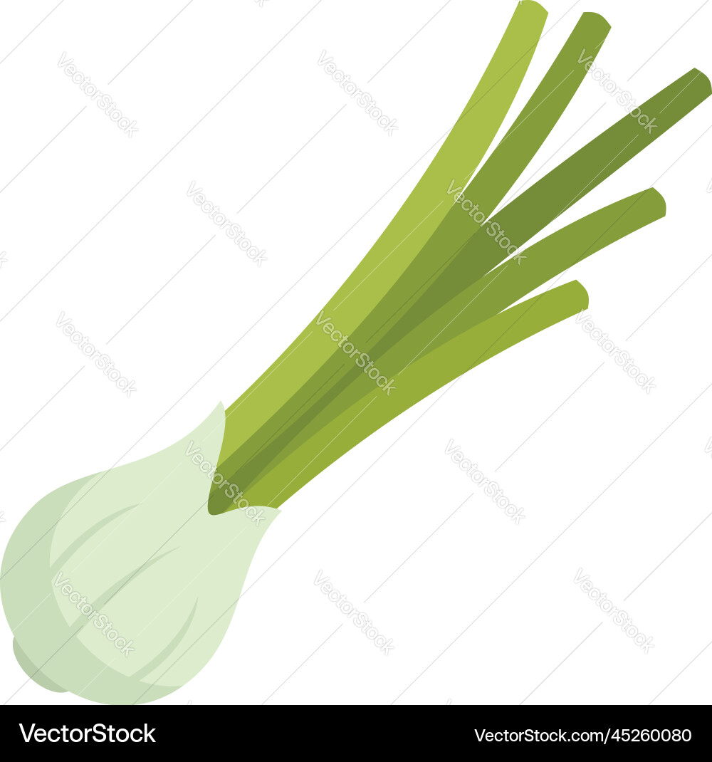 Oregano chive icon flat chinese onion Royalty Free Vector
