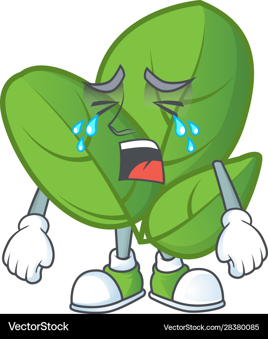 Sad crying gesture basil cartoon character style Vector Image