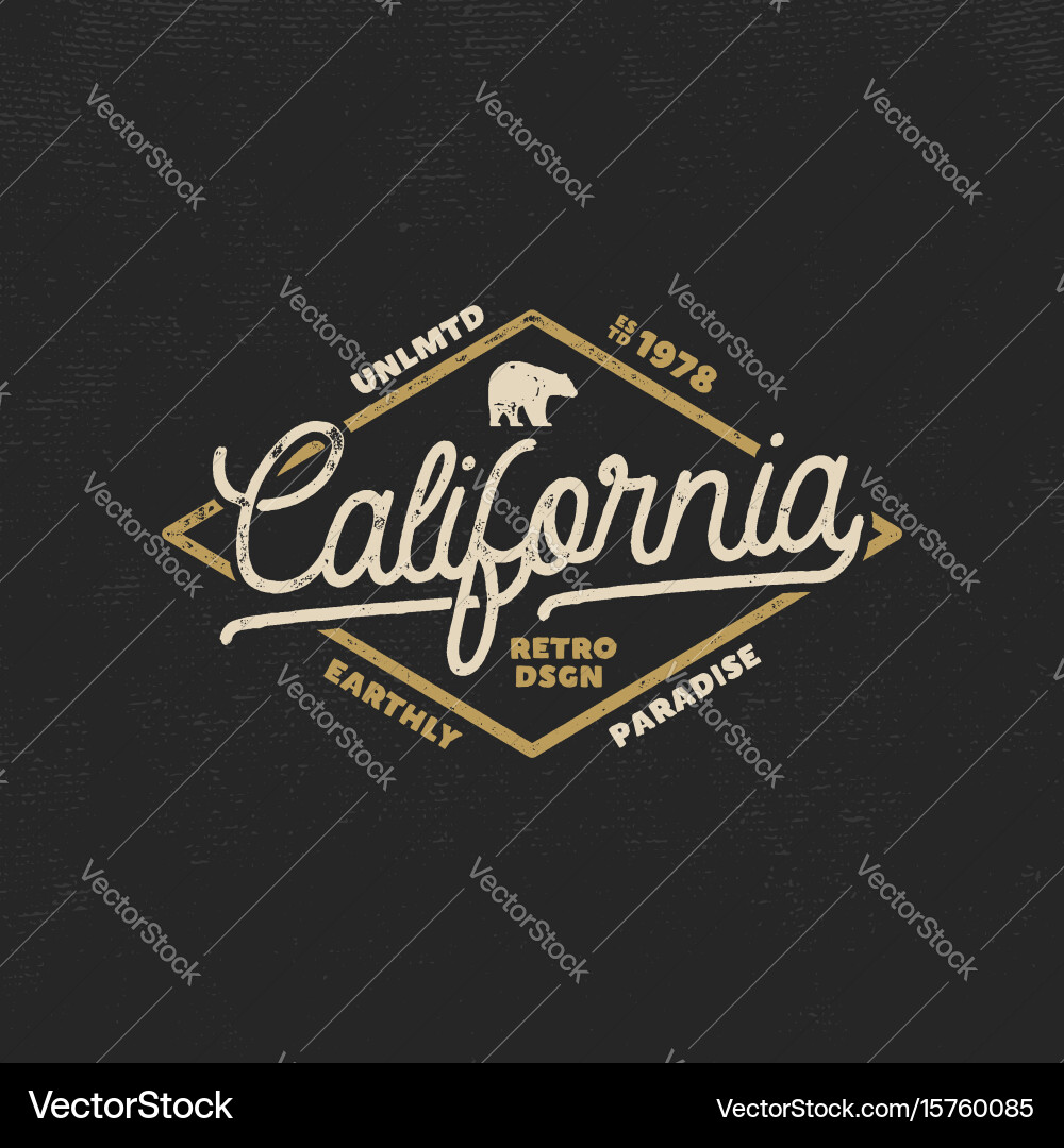 Summer california label with bear and typography Vector Image