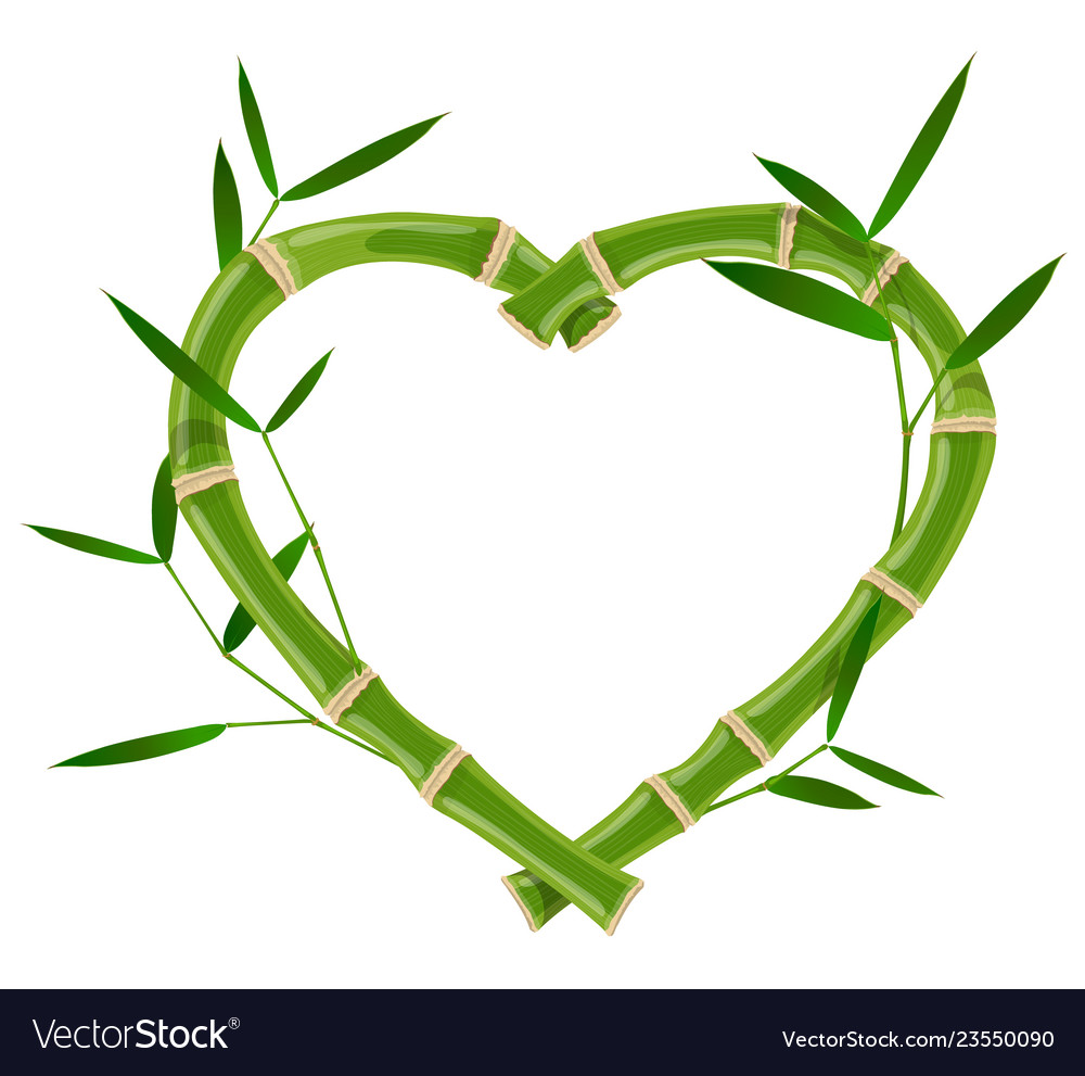 Heart bamboo frame Royalty Free Vector Image - VectorStock Heart bamboo frame Royalty Free Vector Image - VectorStock