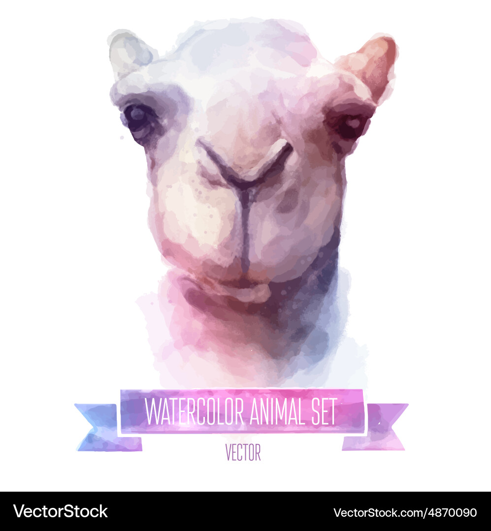 Set of watercolor Cute camel Royalty Free Vector Image