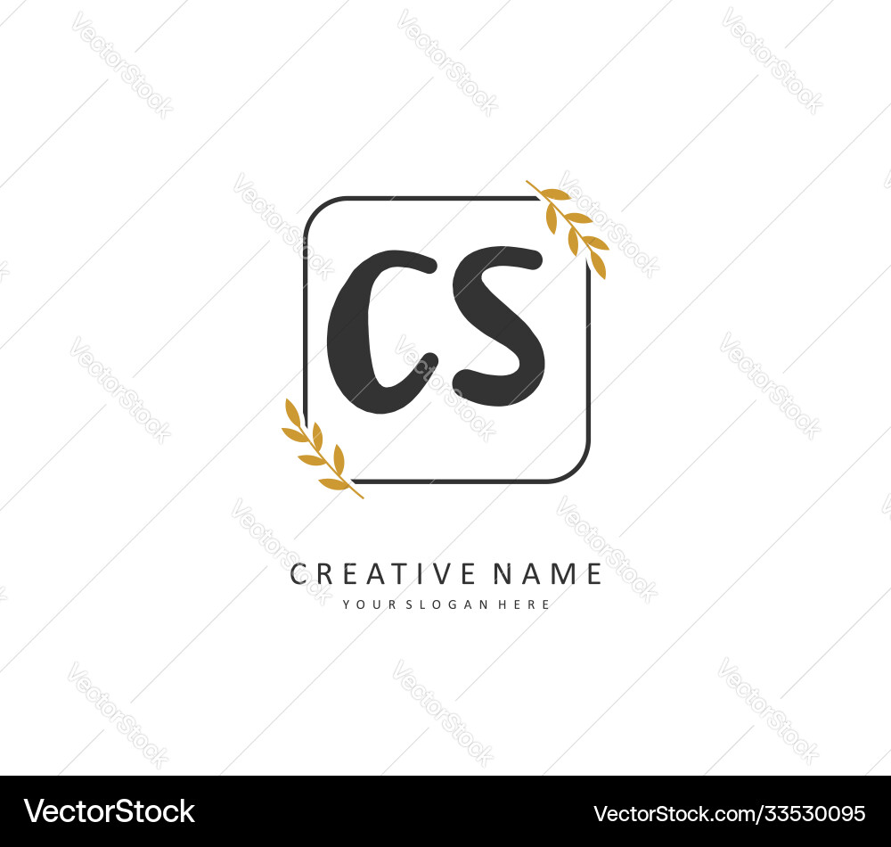 C s cs initial letter handwriting and signature Vector Image