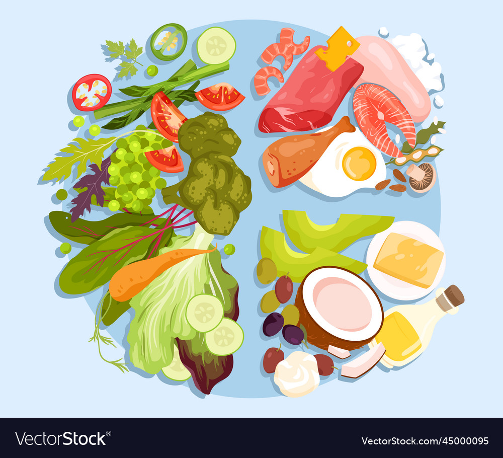 Cartoon isolated low carbohydrate diet diagram Vector Image Cartoon isolated low carbohydrate diet diagram Vector Image