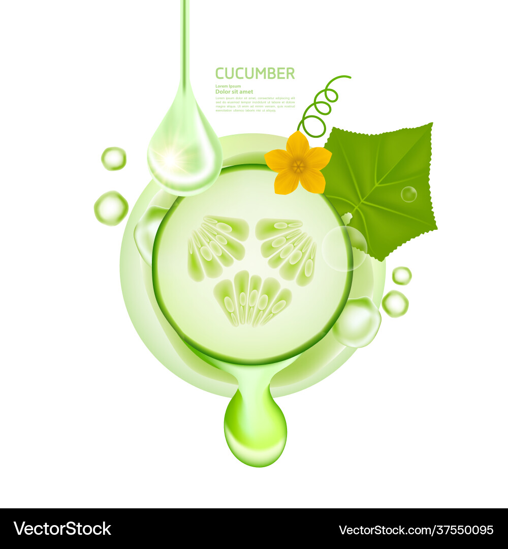 Premium cucumber fresh product Royalty Free Vector Image