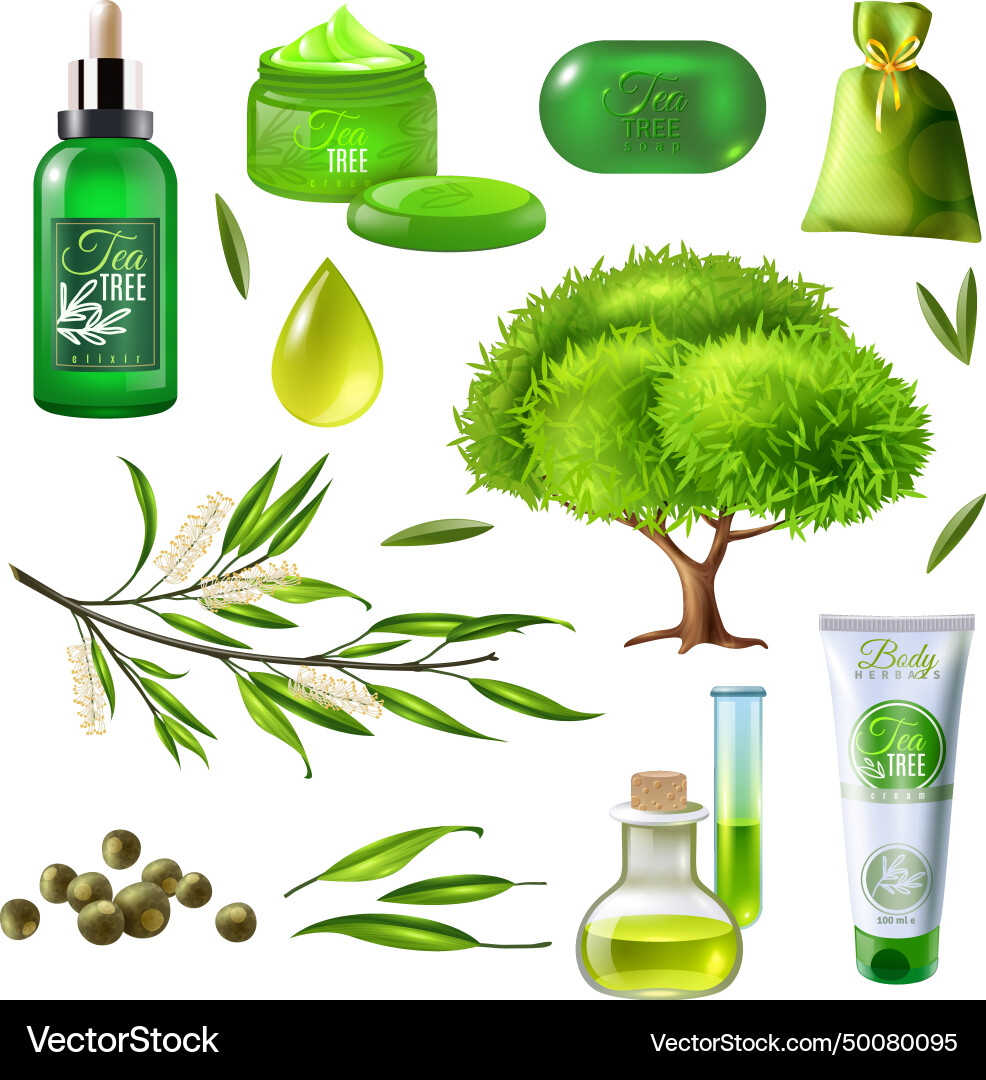 Products of tea tree set Royalty Free Vector Image