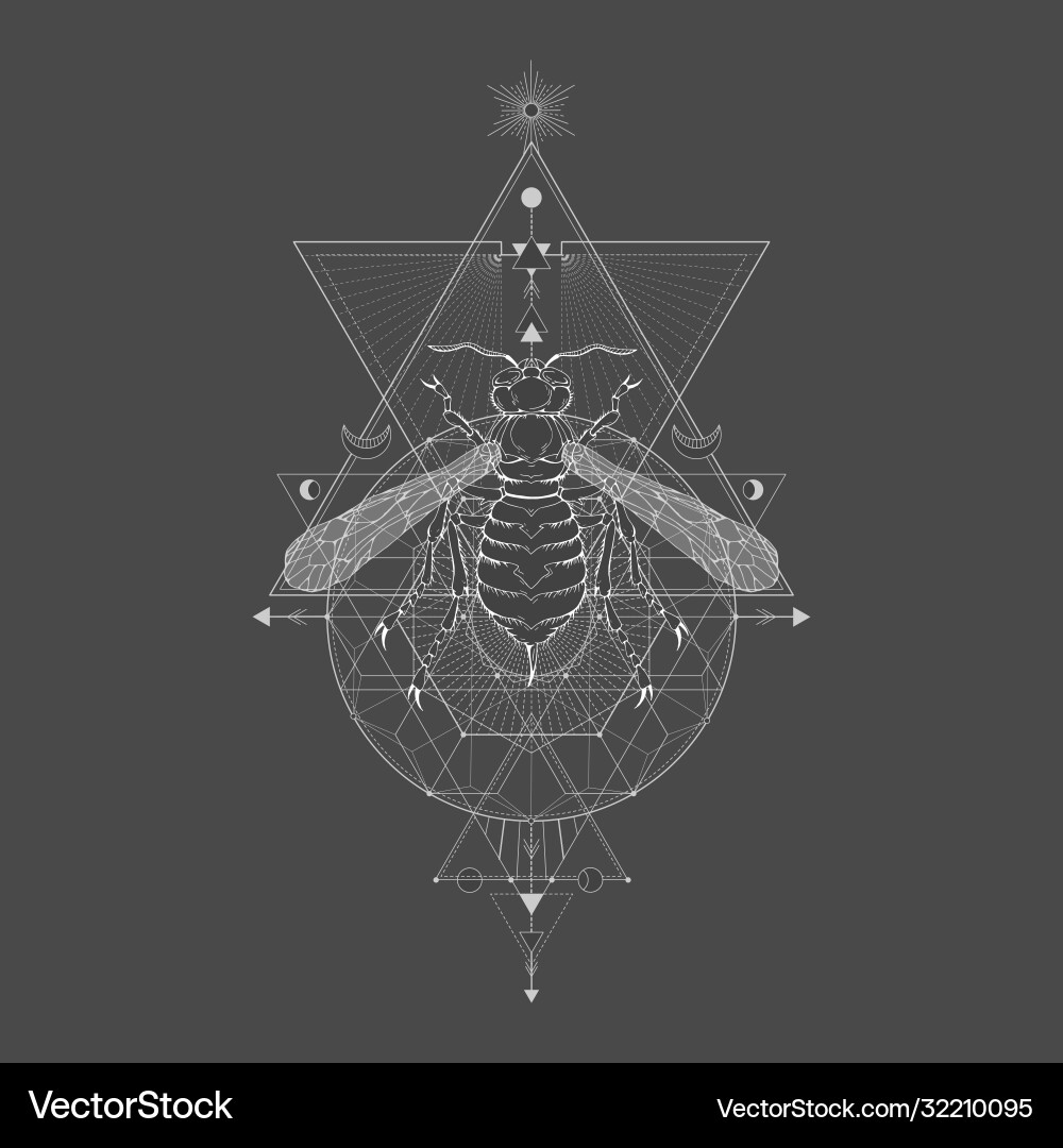 Wasp and sacred geometric symbol Royalty Free Vector Image