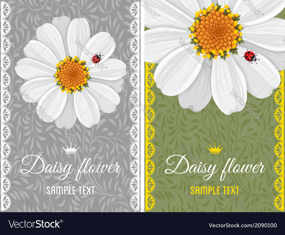 Daisy background Royalty Free Vector Image - VectorStock