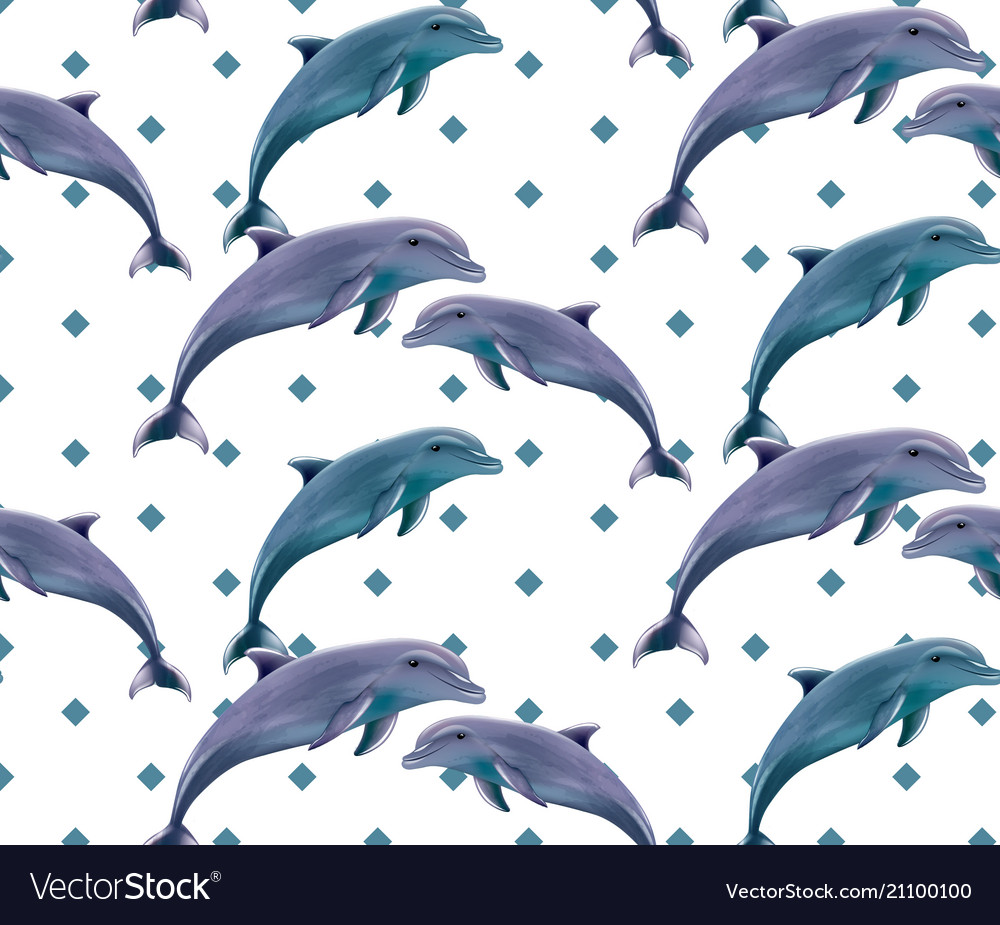 Dolphins pattern spring summer backgrounds Vector Image