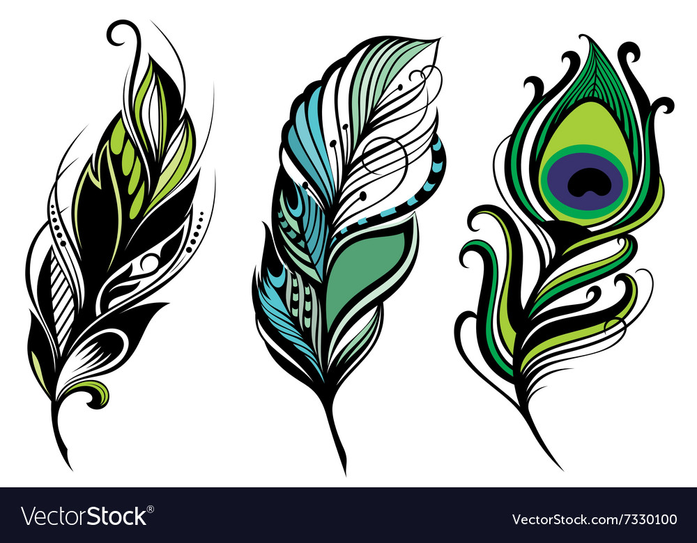Feathers Royalty Free Vector Image - VectorStock